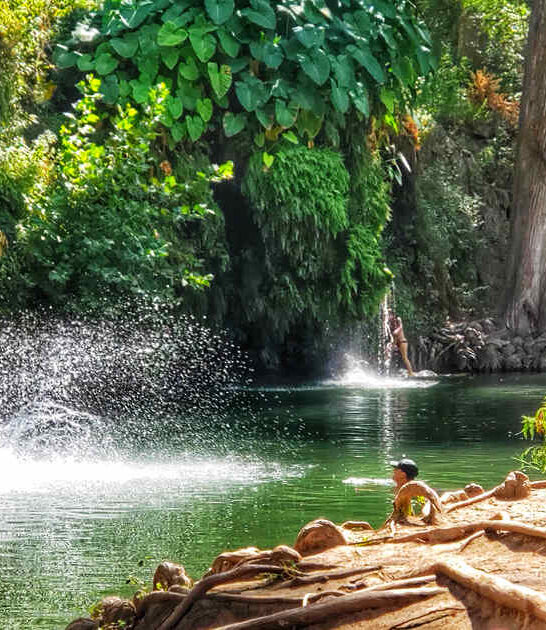 texas enchanting spring paradise ftr