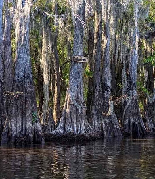 texas fantasy state park ftr