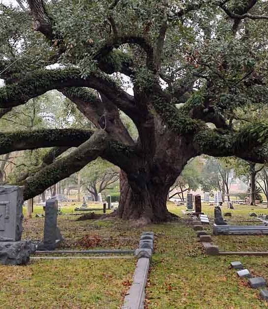 texas historic cemetery spot ftr
