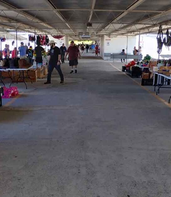texas huge flea market ftr