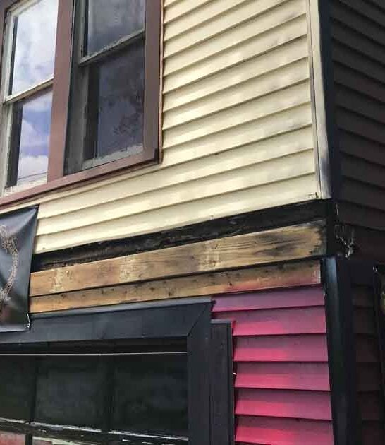 texas quirky weird shop ftr