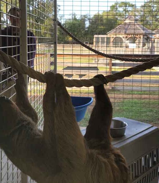 texas ranch exotic animals ftr
