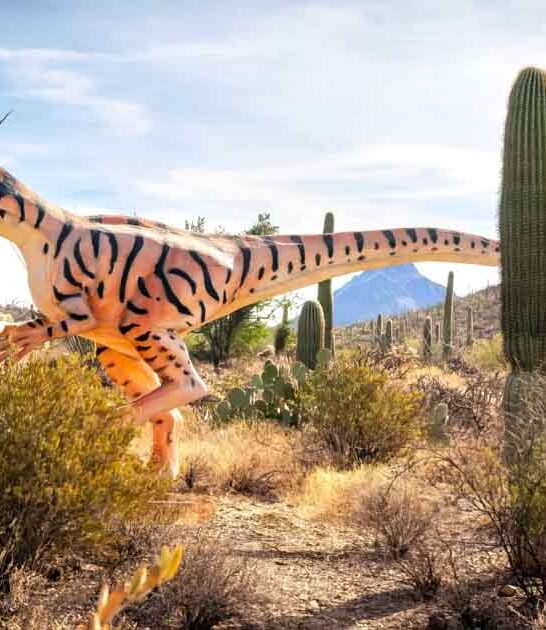 top magical places arizona ftr