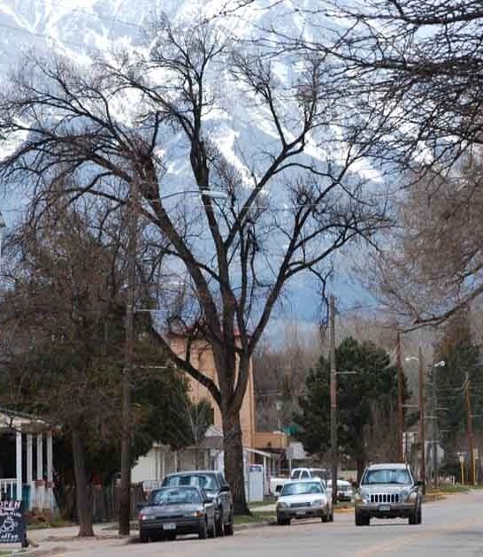 town community living colorado ftr