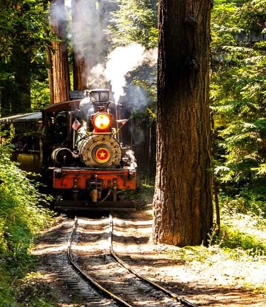 train ride california enchanting ftr