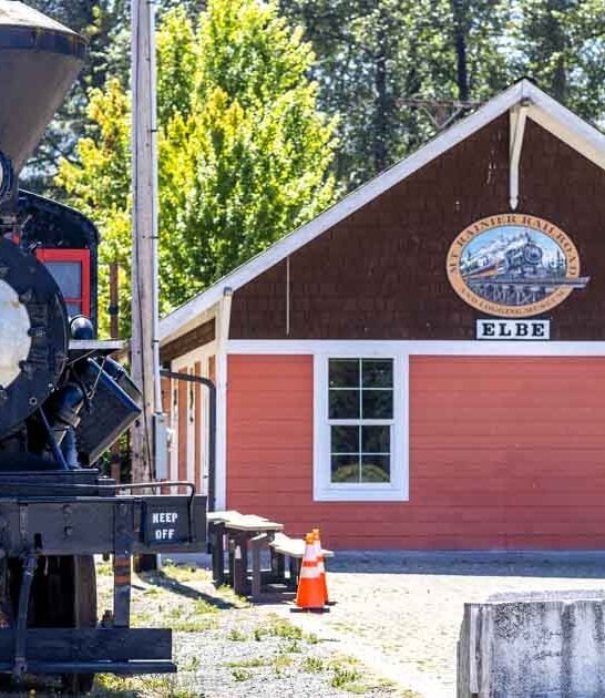 train ride enchanting washington ftr