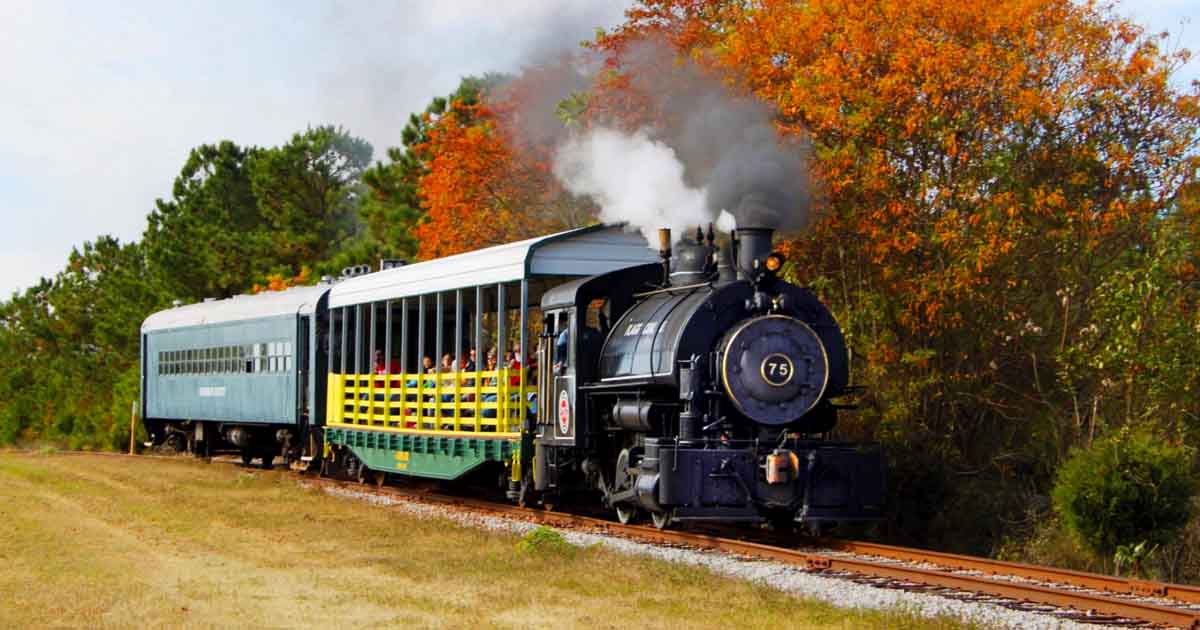This Little-Known Train Ride In South Carolina Is The Most Enchanting ...