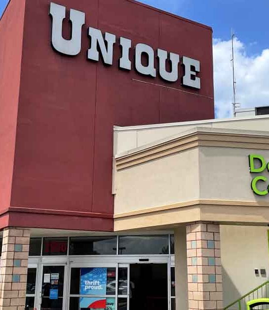 treasure thrift stores virginia ftr