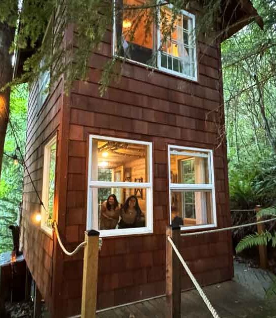 treehouse hotel getaway washington ftr