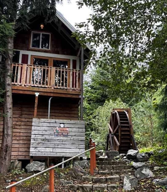 treehouse stay relaxing washington ftr