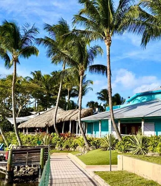 tropical waterfront florida dream ftr