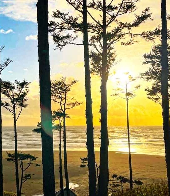 unbelievable beaches hiding washington ftr