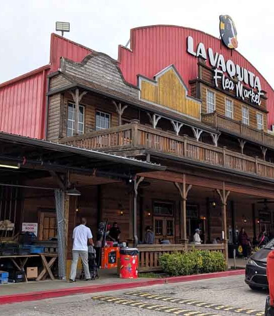 unbelievable flea markets georgia ftr