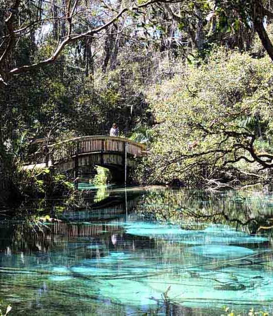 unbelievably cheap destinations florida ftr