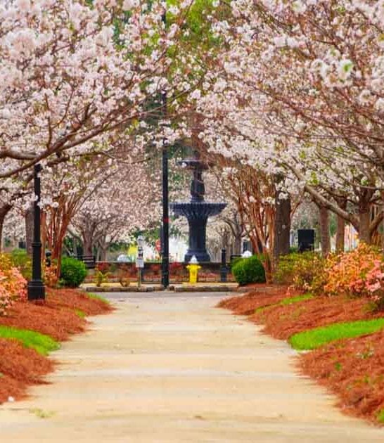 unbelievably cheap destinations georgia ftr