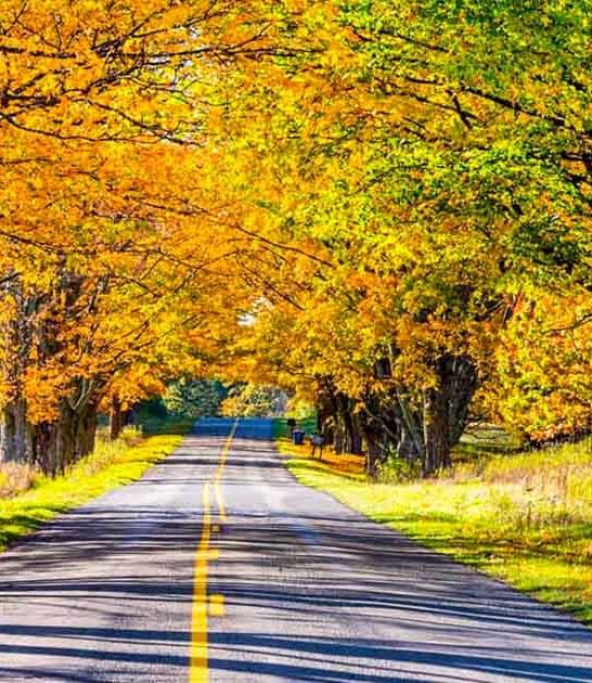 unbelievably road trip michigan ftr