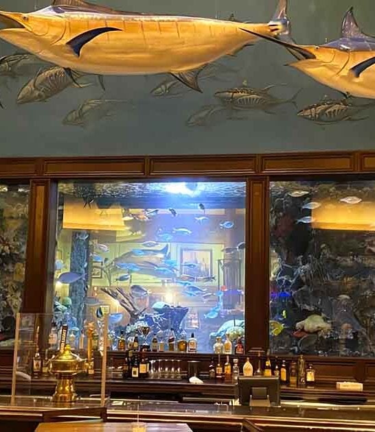 under spectacular virginia restaurant ftr