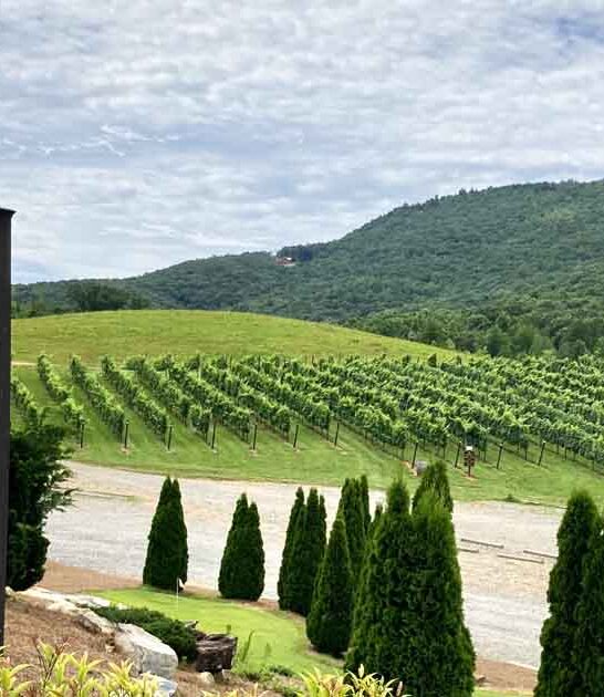 underground cave georgia winery ftr