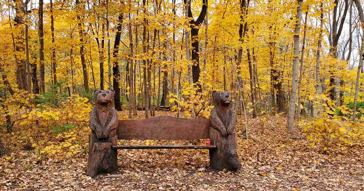 The Underrated Illinois Park You'll Want To Visit All Summer Long