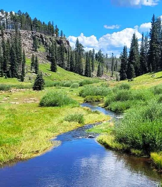 underrated national forest arizona ftr