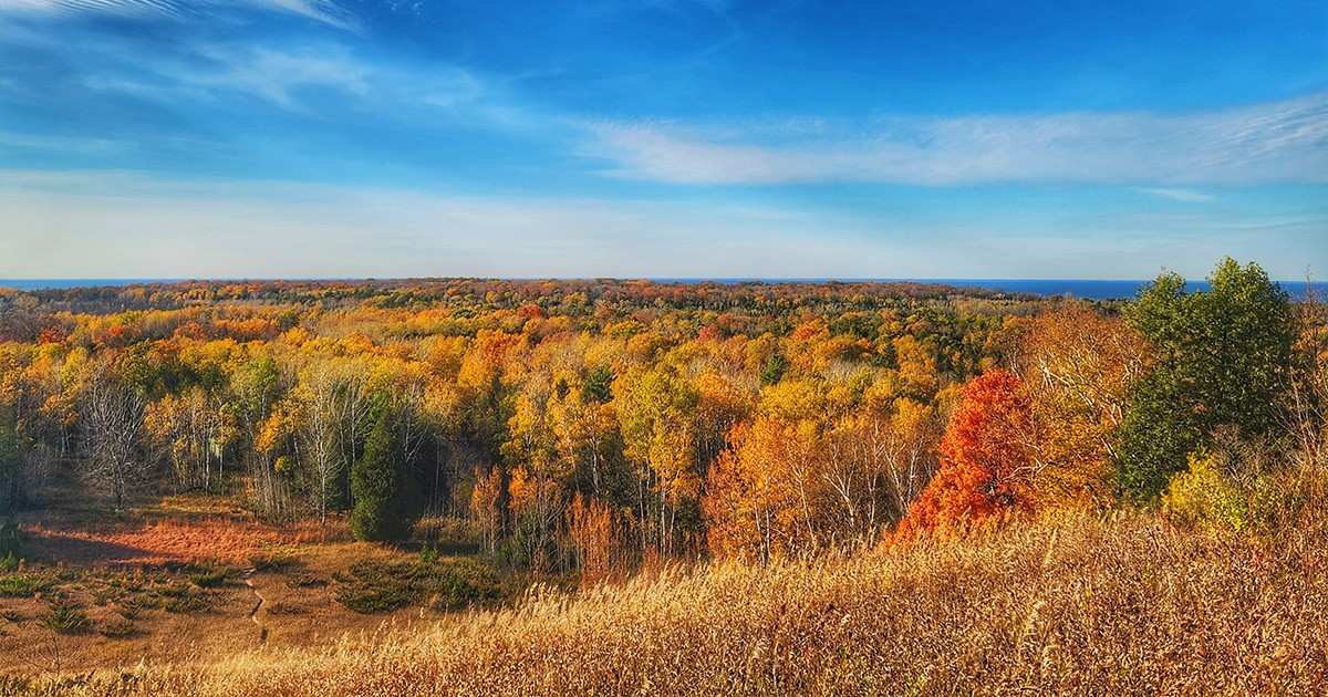 The Most Underrated State Park In Wisconsin Has Limestone Bluffs You ...