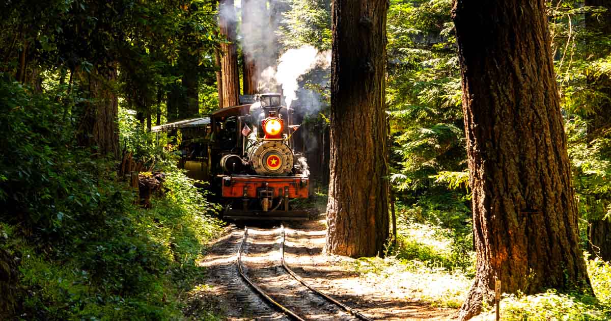 This Little-Known Train Ride In California Is The Most Enchanting ...