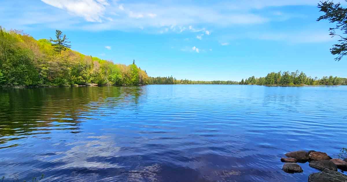 You Need To Visit This Picturesque Michigan State Park Before Everyone ...