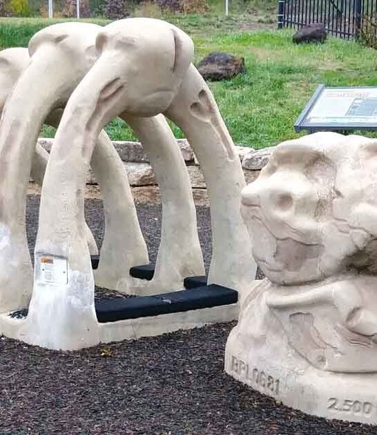 unexpected activities maryland surprise ftr