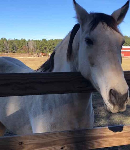 unexpected south carolina adventures ftr