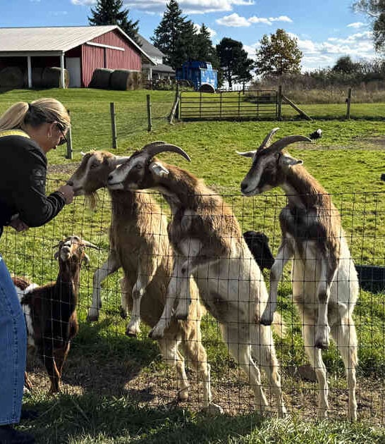 unexpected spots michigan ftr