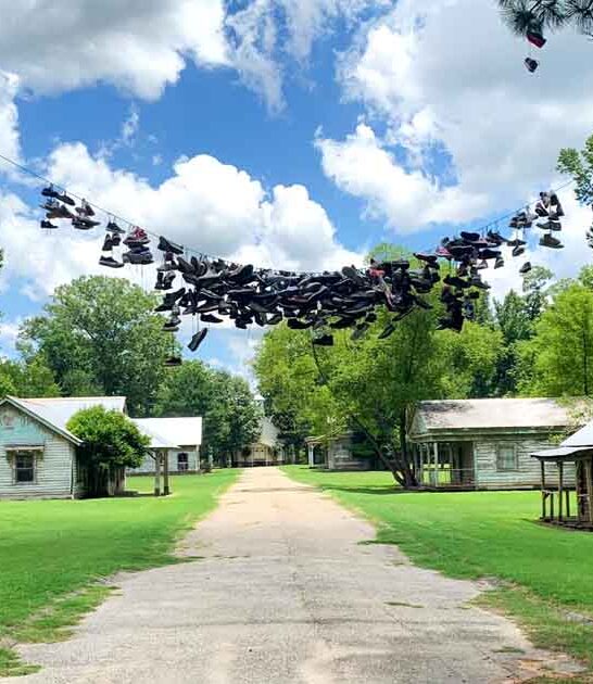 unexpected things alabama surprise ftr