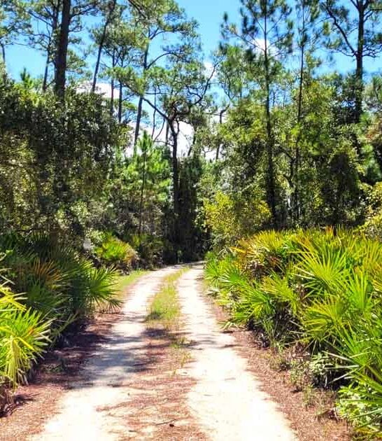 unforgettable alabama hikes perfect ftr