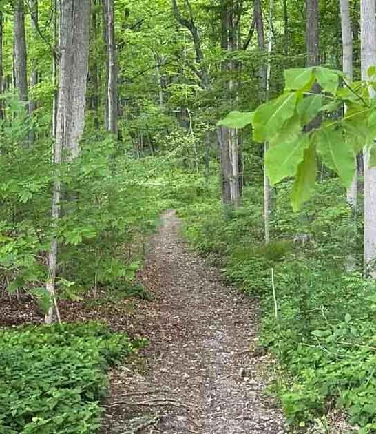 unforgettable connecticut hikes family ftr