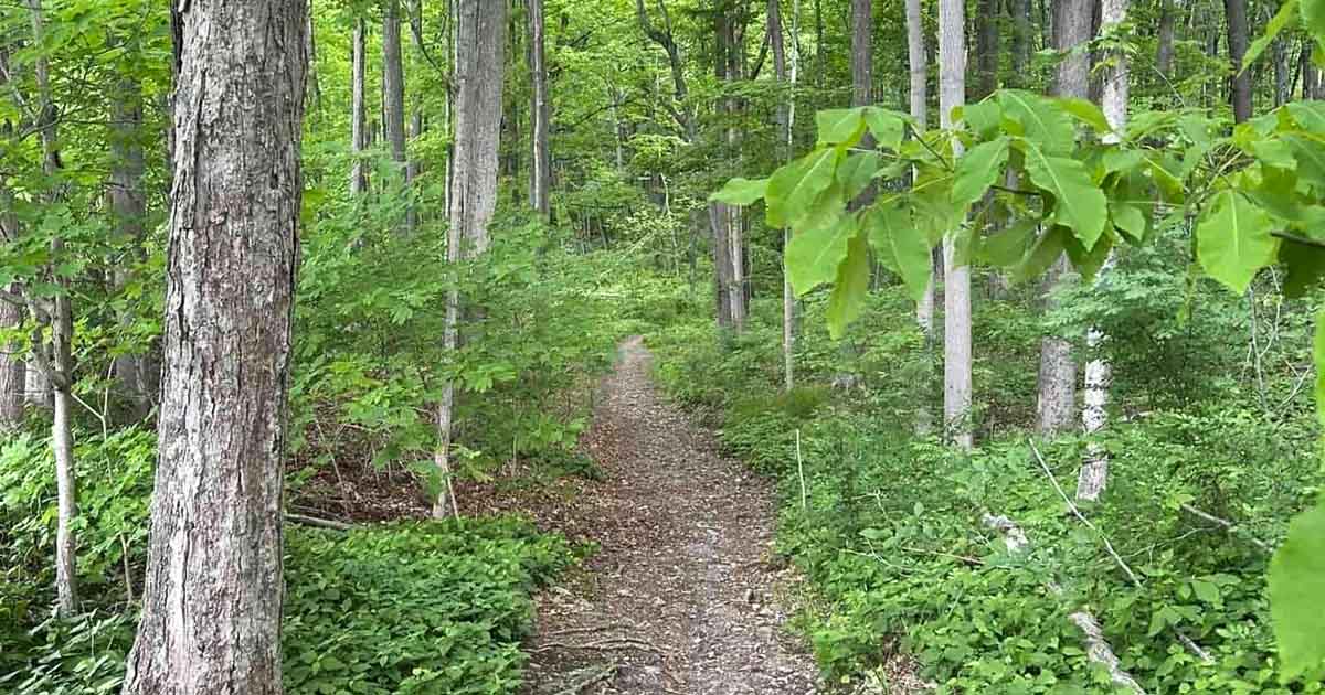 7 Unforgettable Connecticut Hikes That Are Under 5 Miles And Perfect ...