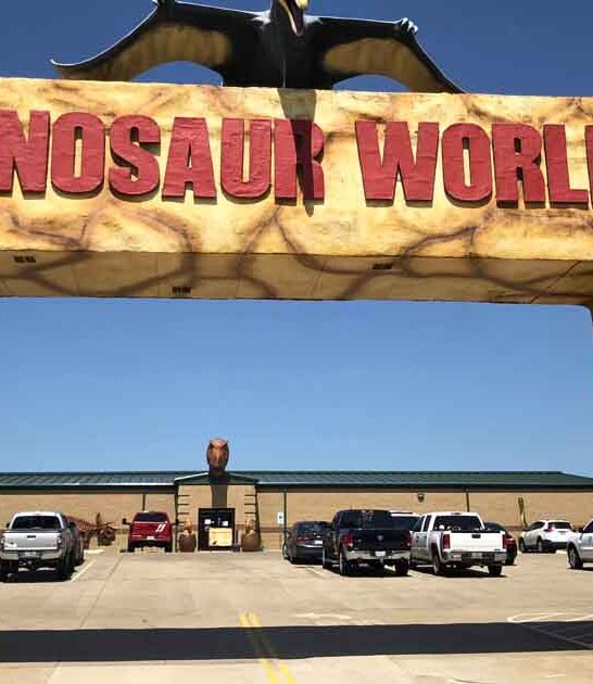 unforgettable dinosaur museum texas ftr