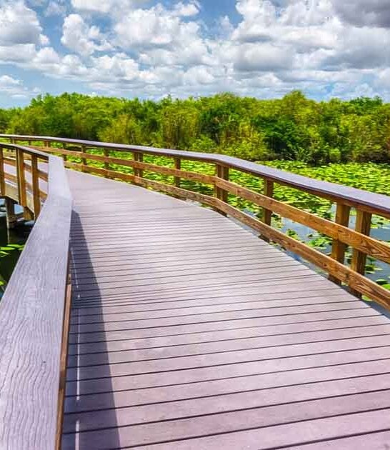 unforgettable florida hikes family ftr