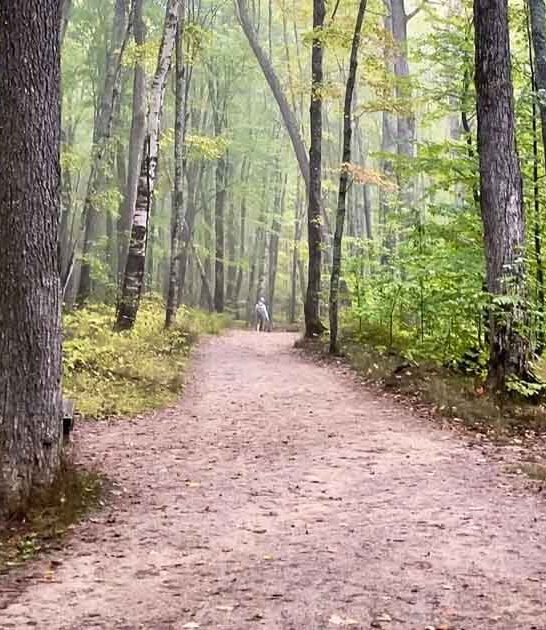 unforgettable michigan hikes perfect ftr