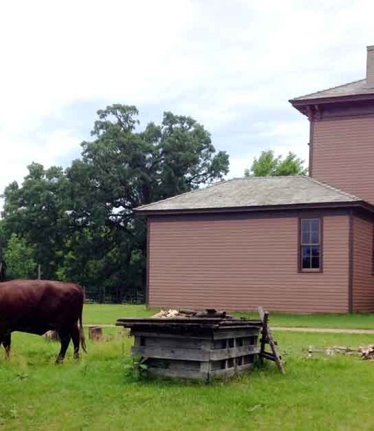 unforgettable minnesota farm pioneer ftr