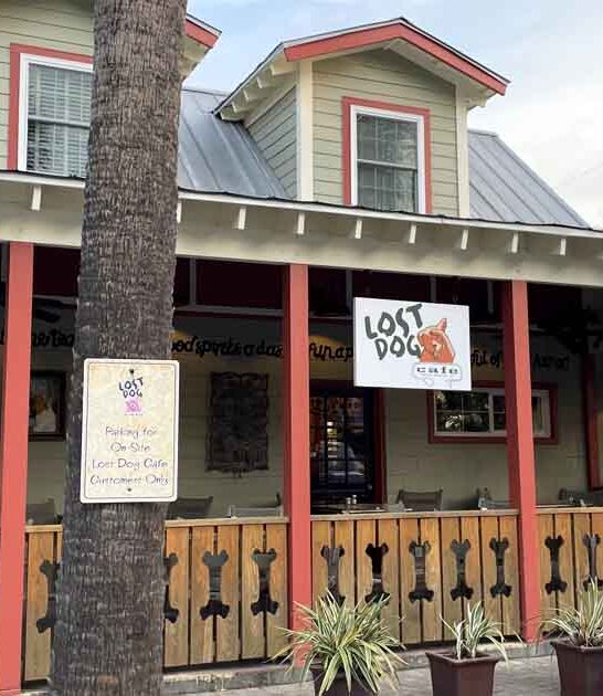 unforgettable south carolina cafe ftr