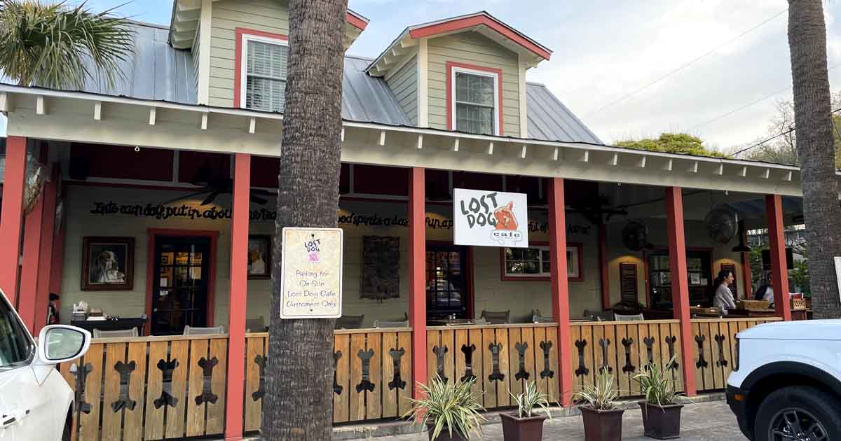 This Laid-Back South Carolina Cafe Serves The Most Unforgettable Eggs ...