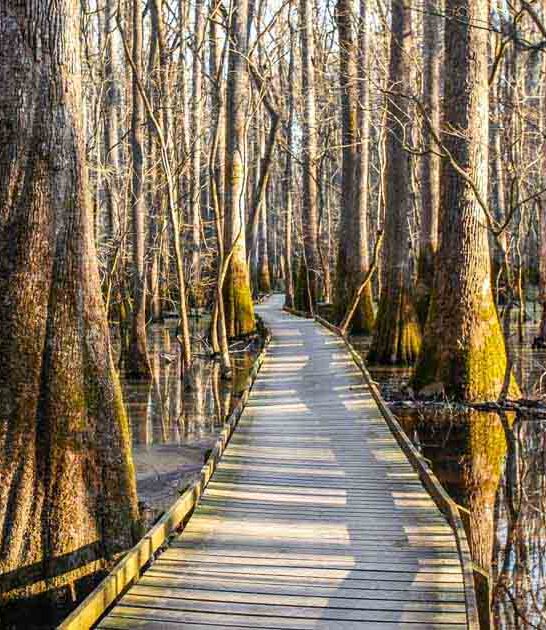 unforgettable south carolina hikes ftr