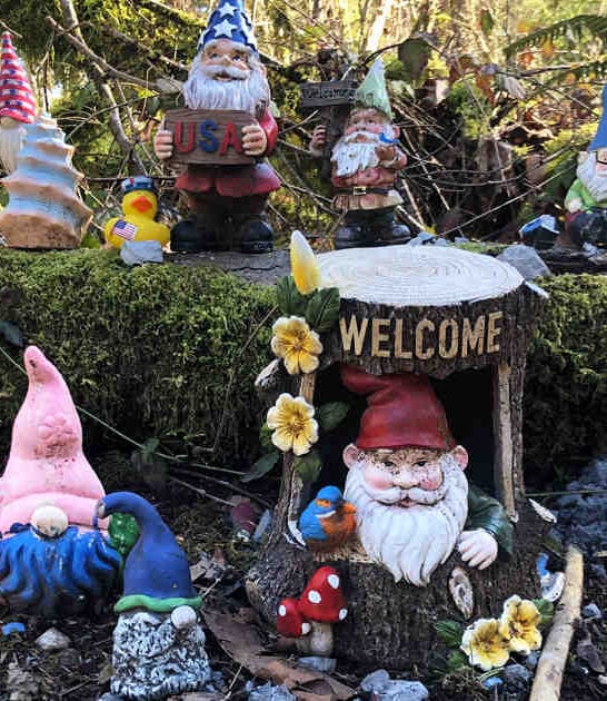 unknown hidden spots washington ftr