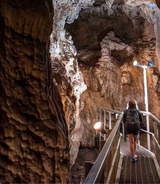 unknown state park washington ftr