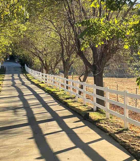 vineyard hike california escape ftr