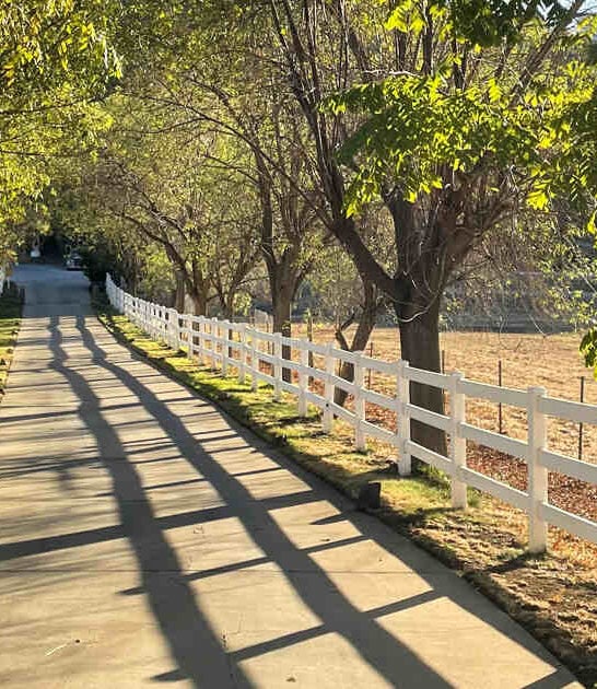This Under-The-Radar Vineyard Trail In California Is The Perfect Escape From It All