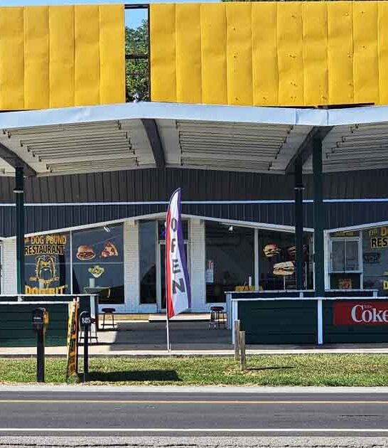 vintage kentucky hot dog ftr