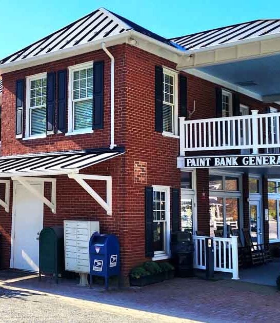 virginia buffalo ribeye restaurant ftr