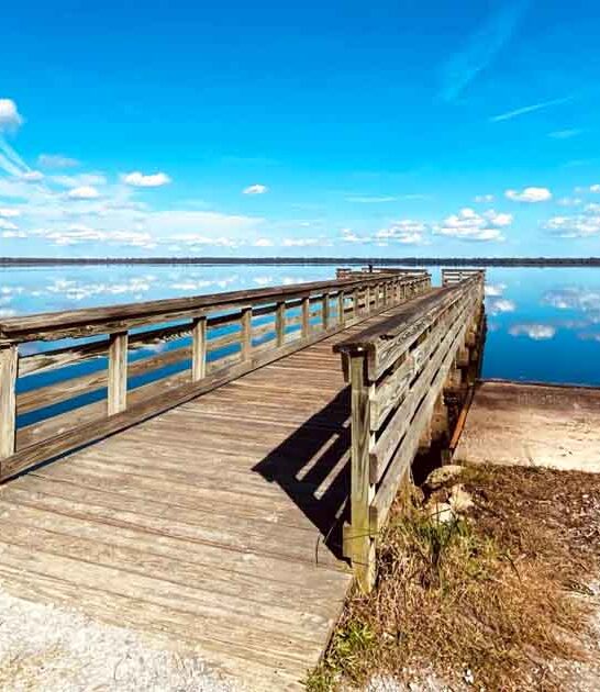 virginia dreamy natural wonders ftr