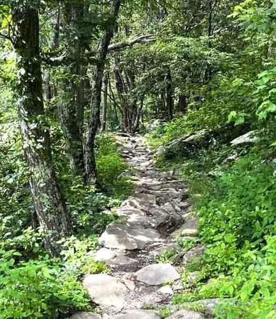 virginia gorgeous hikes miles ftr