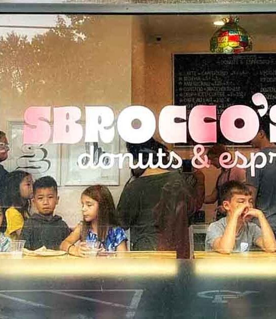 virginia hidden donut shop ftr